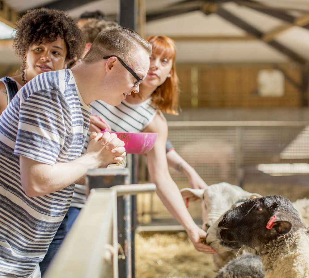 Adult Day Services | Developmental Disabilities Day Center